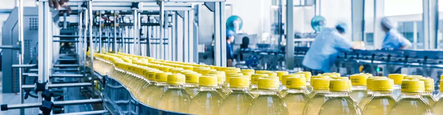 PENTAIR HAFFMANS IN-LINE OPTICAL O2 METER